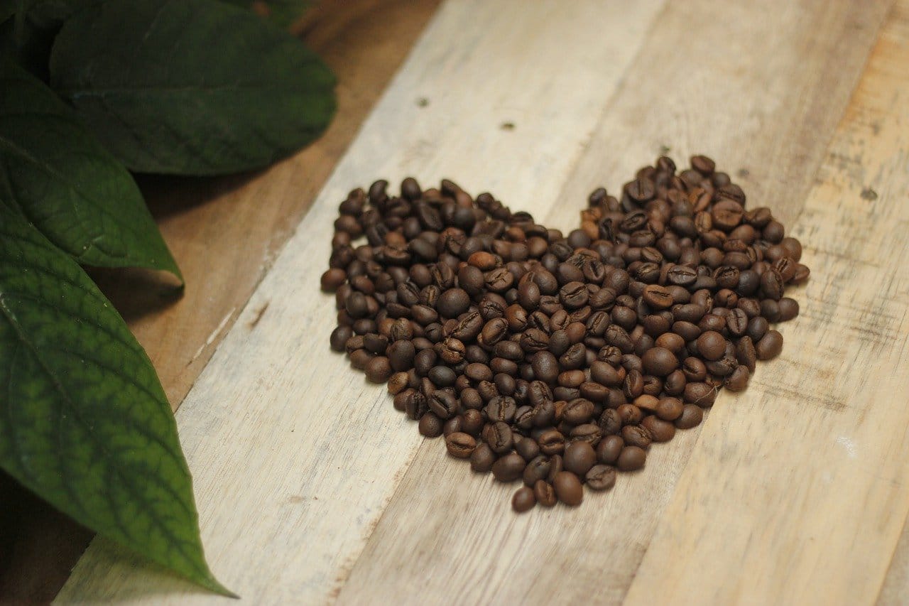 Florida-Grown Coffee, Is it Possible? - Cupa Cabana | NYC Event Catering